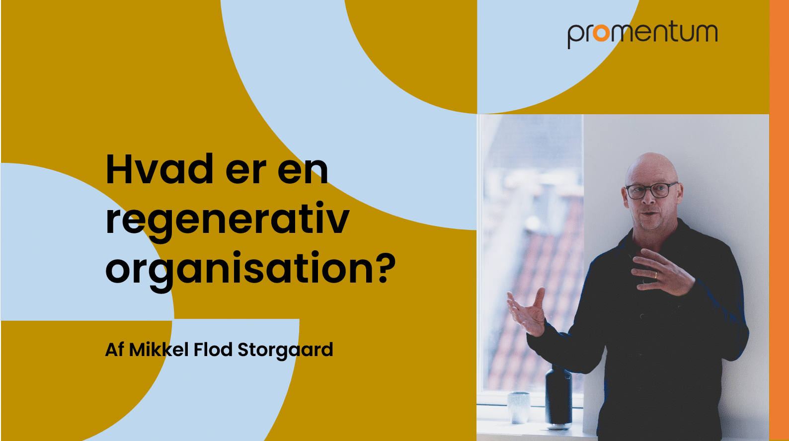 Hvad er en regenerativ organisation? - Promentum