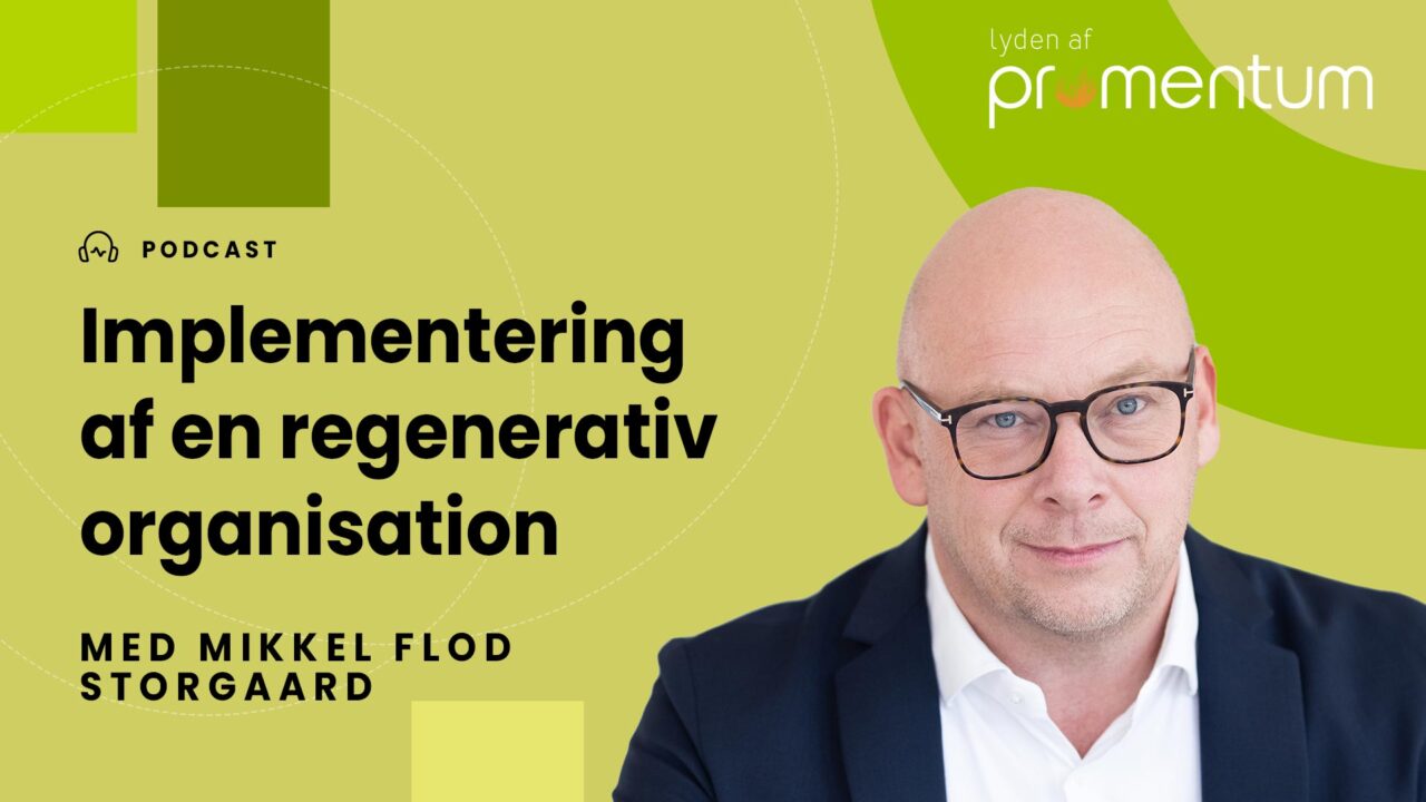 Implementering af en Regenerativ Organisation: Mikkel Flod - Promentum